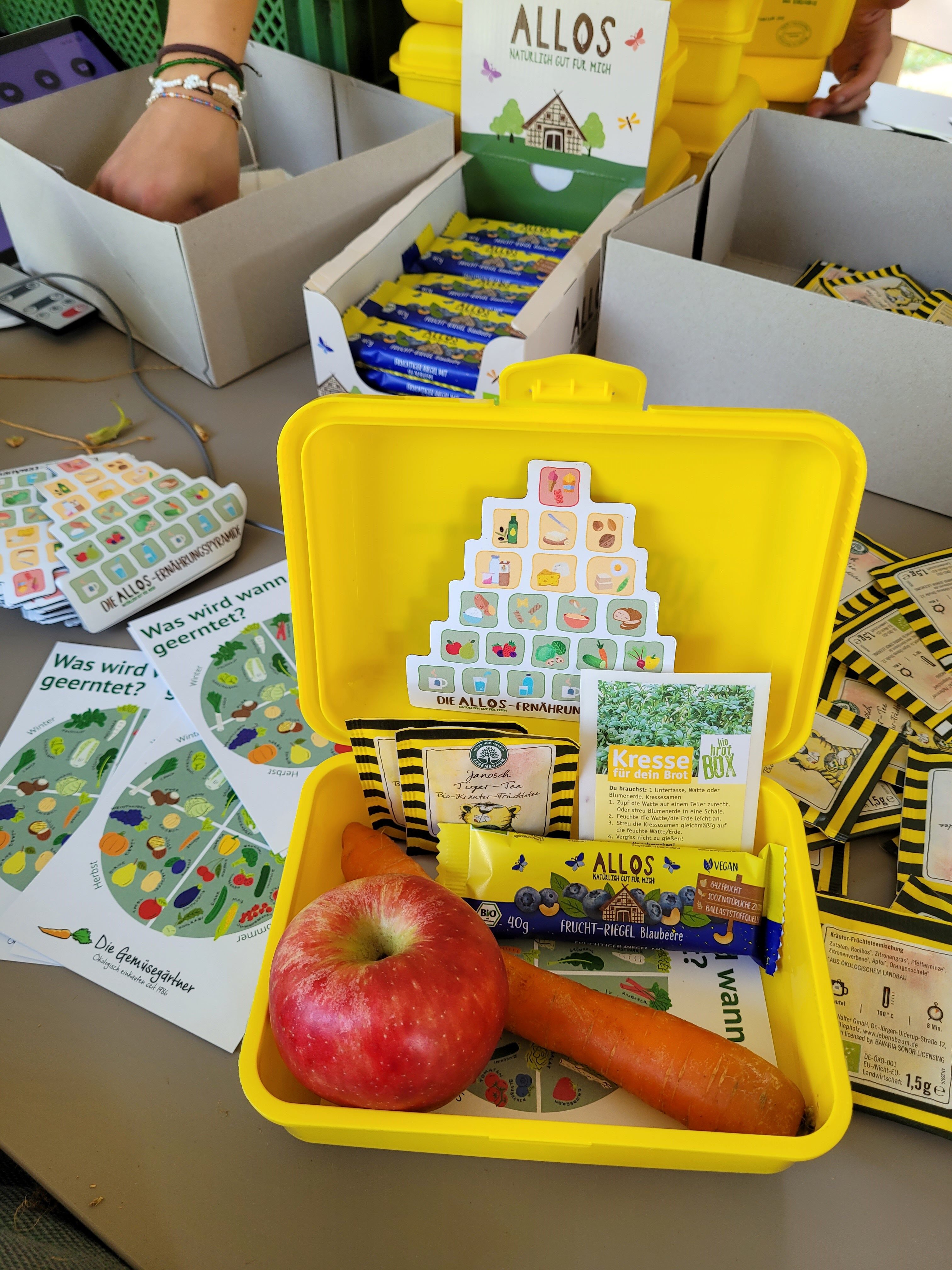 Allos packt 350 Bio-Brotboxen für Erstklässler:innen - Allos